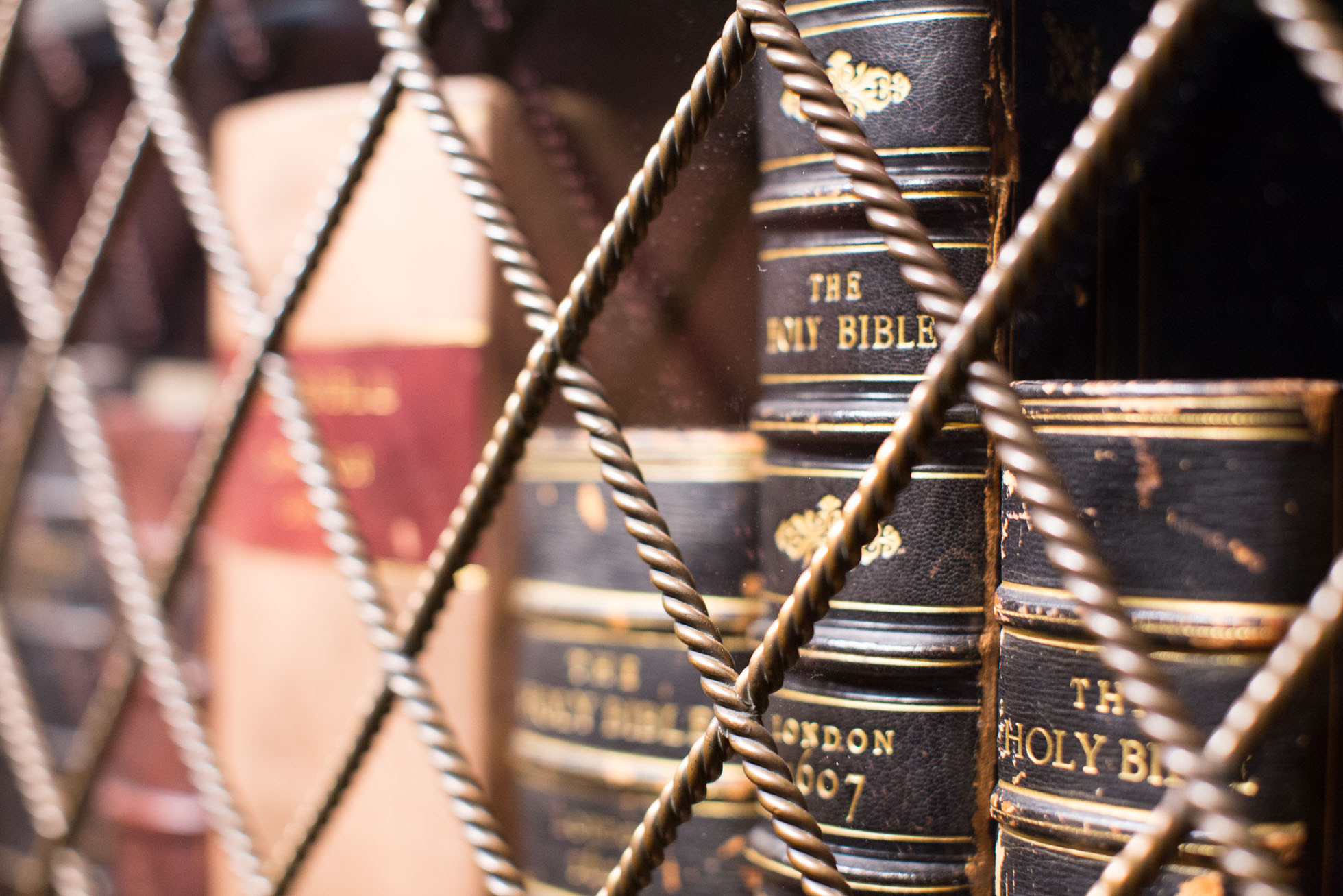 The Problem with Reading the Bible Verse-by-Verse – Sign and Shadow